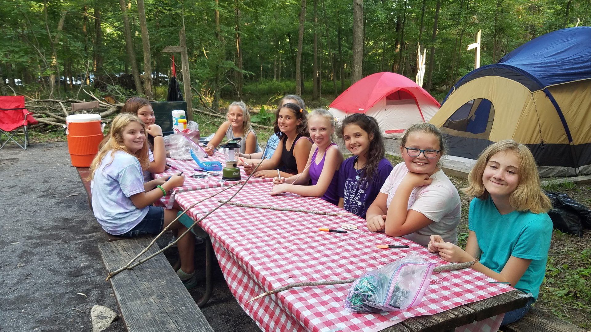 Virginia Camp Properties